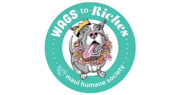 Wags to Riches - Wags To Riches 2023